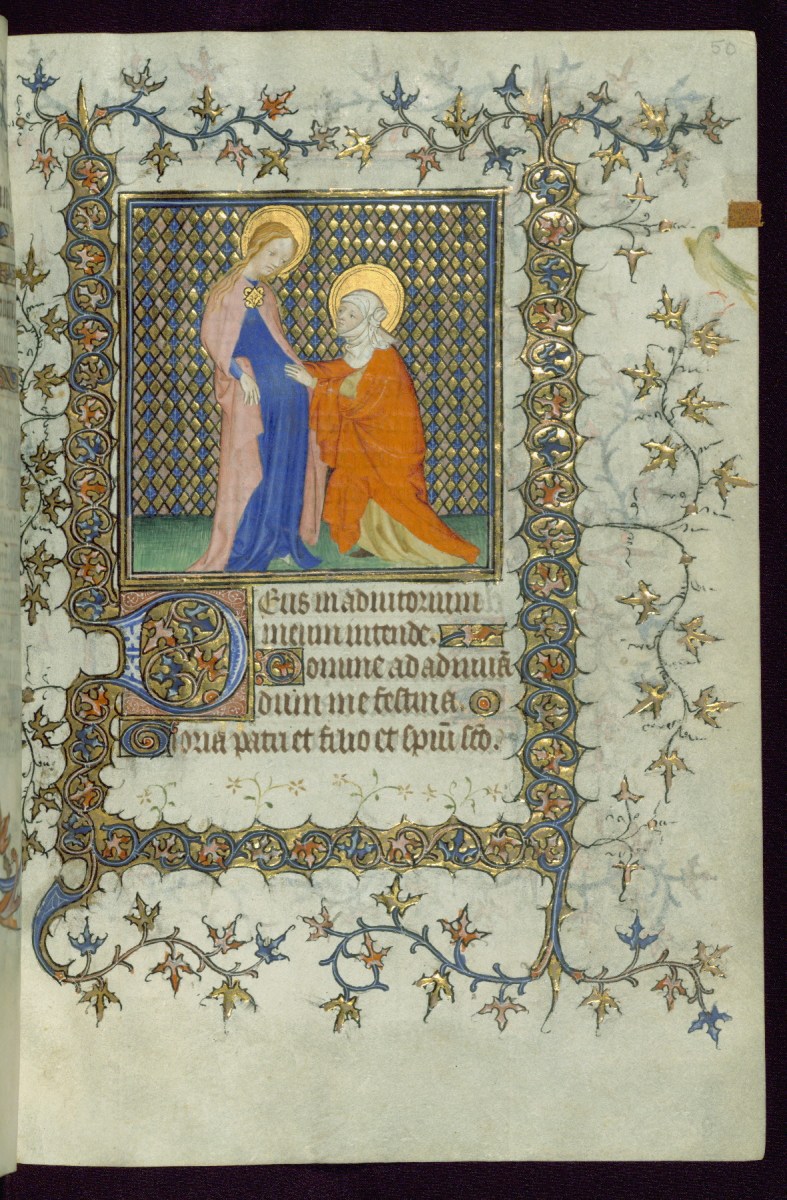 A Princess of Wales Parakeet in 14th Century Manuscript? – Maidens and ...