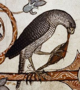 How to Train Your Hawk: A 15th Century English Prioress’ Guide ...